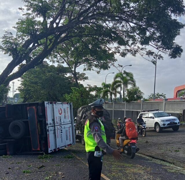 Diduga Sopir Mengantuk, Truk Boks Tabrak Pohon hingga Terguling di Megati - Media Pelangi